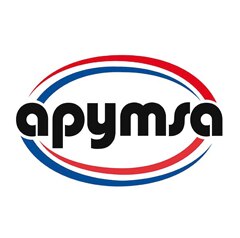 Circuito integrado para Apymsa automóvil - Mecalux.com.ar