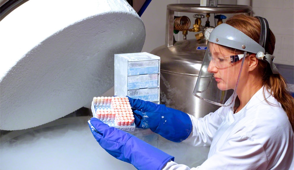 Qué es el almacenamiento criogénico - Mecalux.com.ar